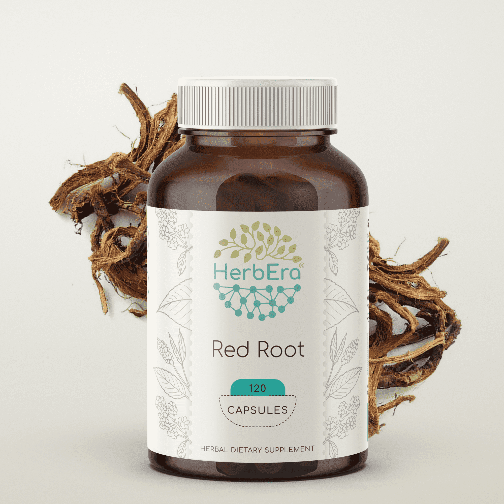 HerbEra Red Root Capsules, Herbal Dietary Supplement for Lymphatic ...