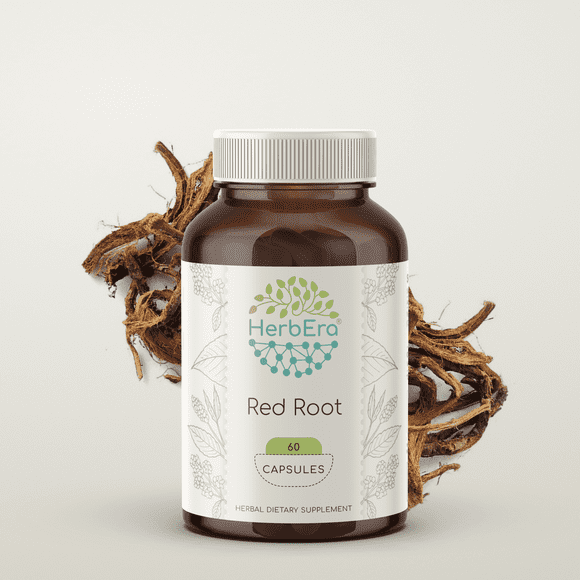 Red Root Herb