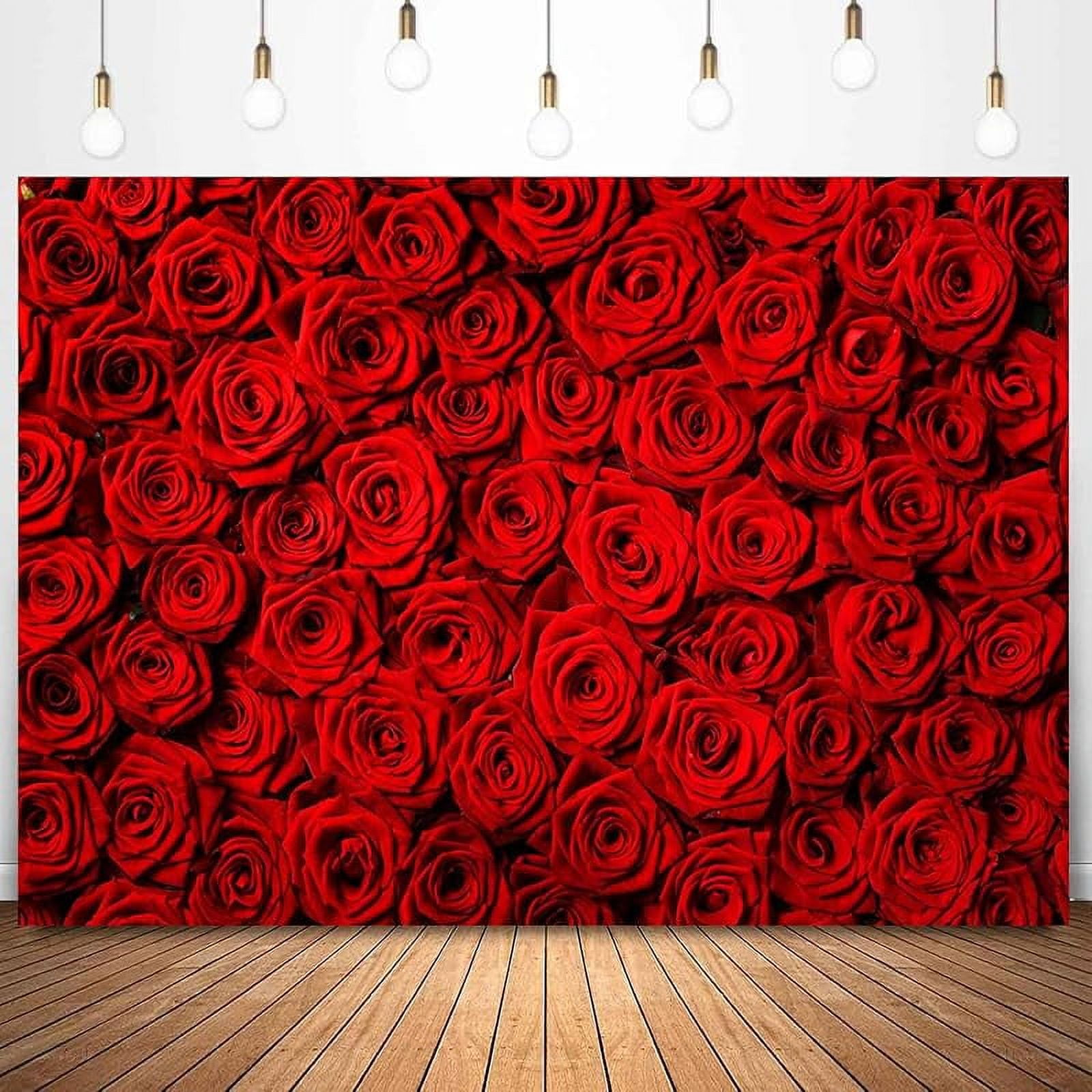 Red Rose Backdrop Flowers Rose Wall Photo Background Valentine's Day ...