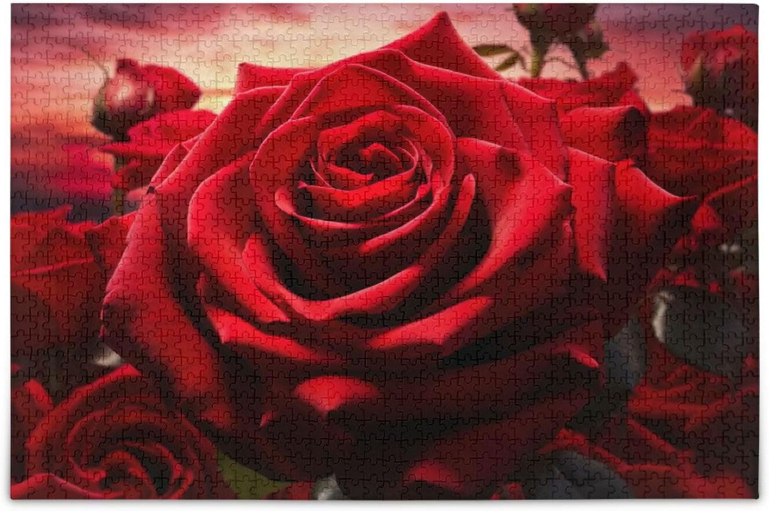 Red Rose Jigsaw Puzzle 500 PiecesDie-Cut Puzzle Pieces Are Easy To ...