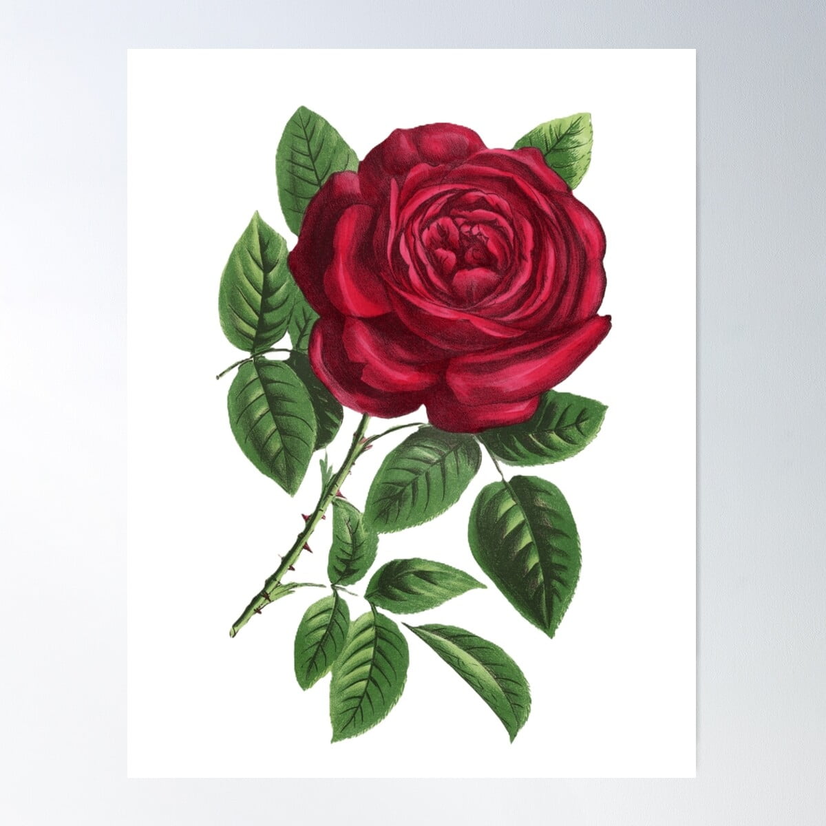 Red Rose Poster Wall Art, Modern Wall Decor For Living Room Bedroom ...