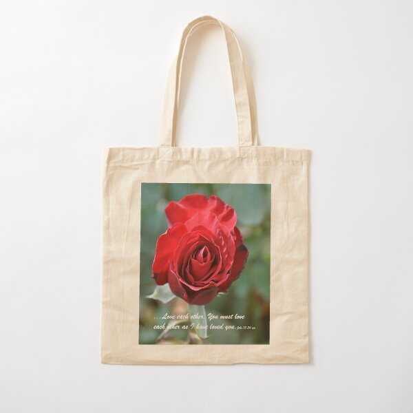 Red Rose, Rose Bud, Rose, Roses, Rose Blooms, Flowers, Flower, Floral ...