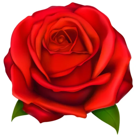 Red Rose Sticker Flower Phone Decal Water Bottle Stickers Car Decals ...