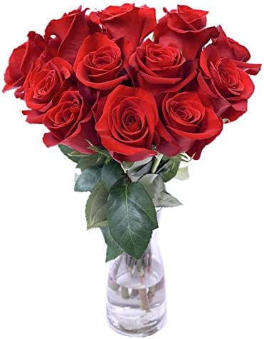 Red Roses | 24 Fresh Flowers (2 Dozen) + Vase Included - Fresh Cut ...