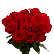 Globalrose Fresh Real Live 50 Red Roses Bundle - Walmart.com