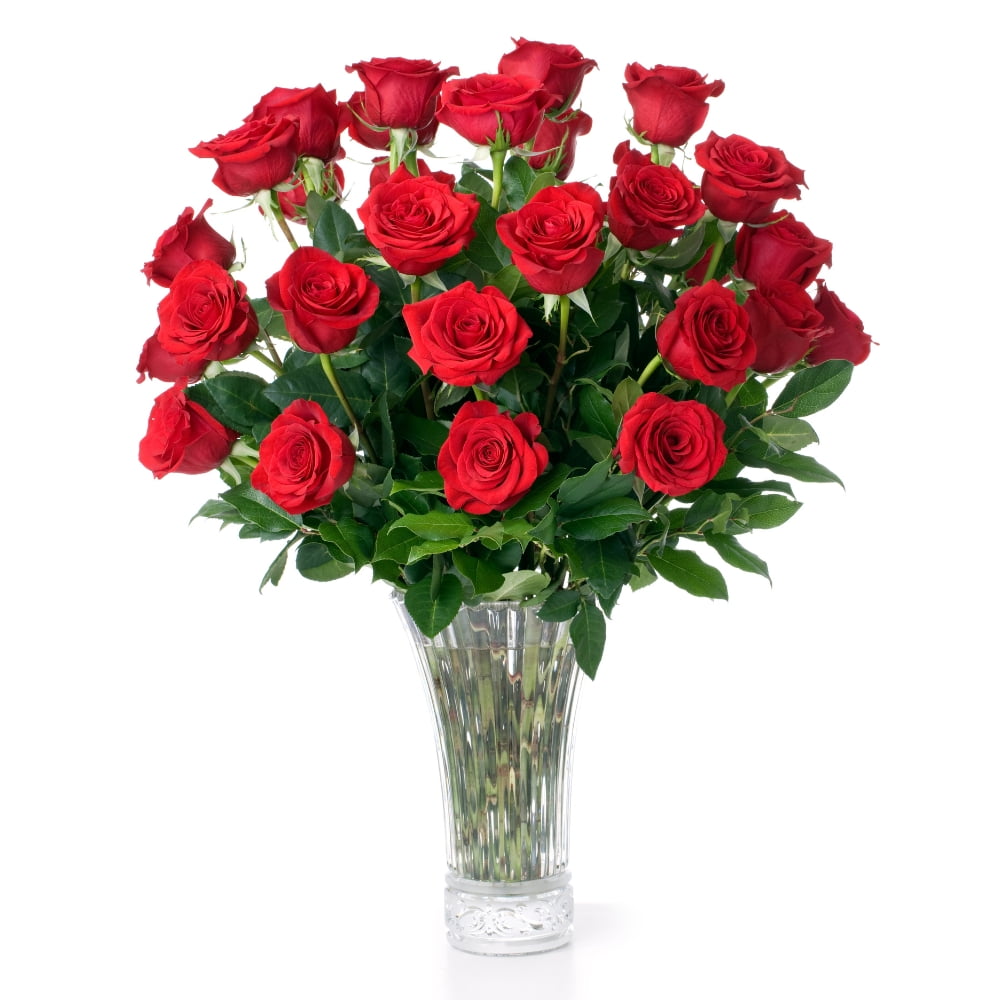 Aquarossa Farms Real Rose Freshly Bunched - 1 Dozen Red Roses for ...