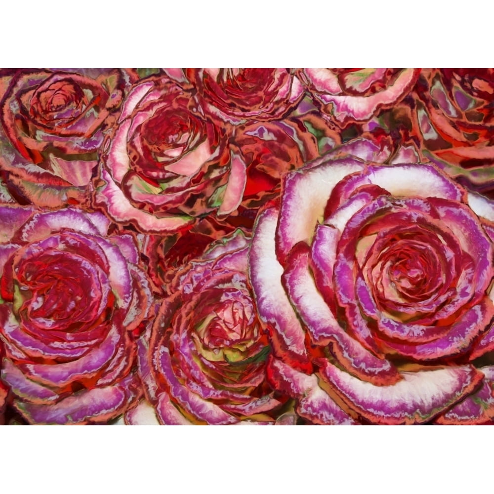 Red Roses Paintings Poster Print by Alixandra Mullins (18 x 12 ...