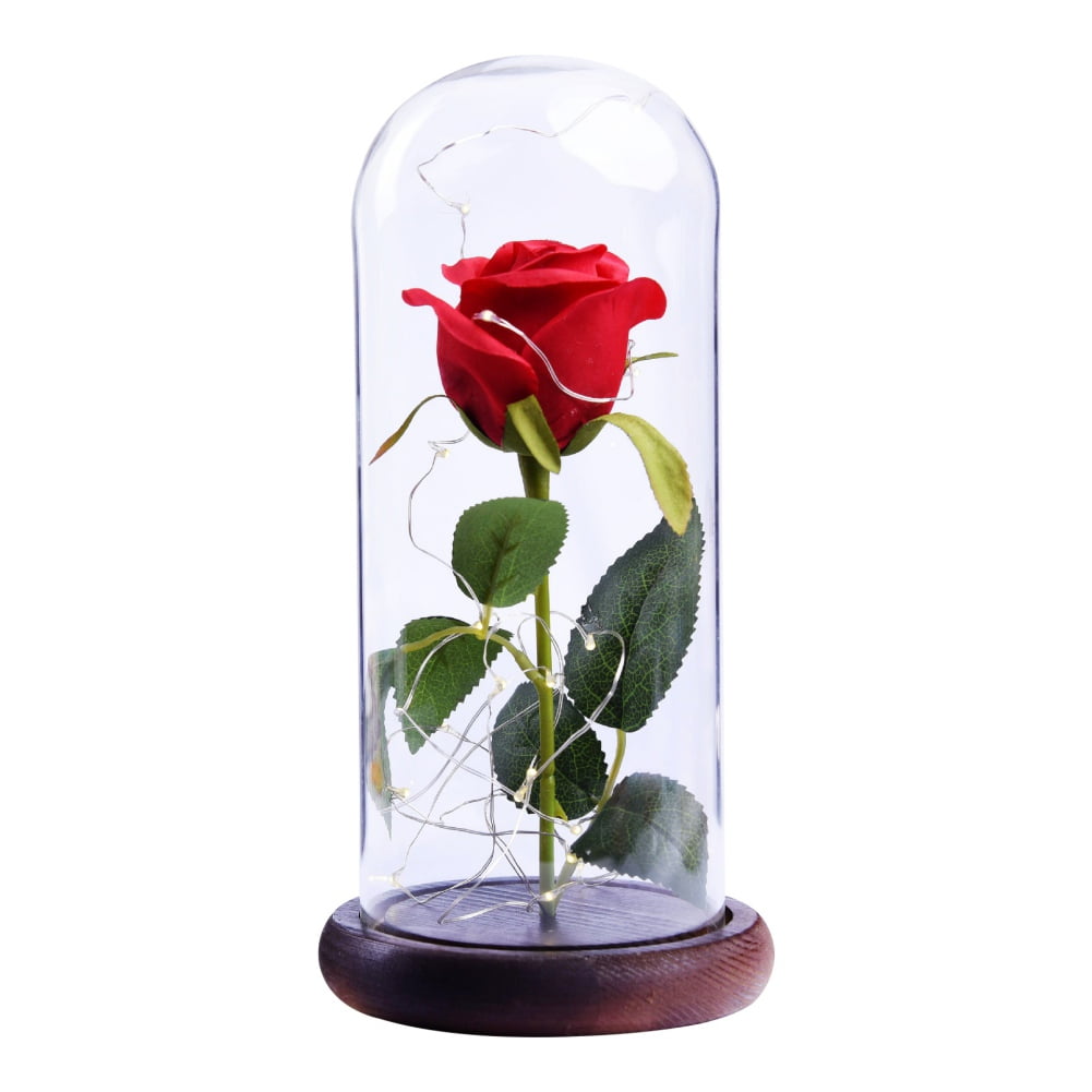 Red Roses Preserved Flower Real Rose in Glass Dome, Preserved Roses ...