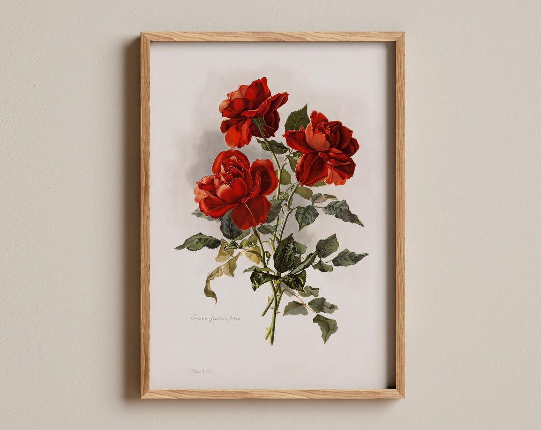 Red Roses Print, Grace Barton Allen, Vintage Botanical Illustration ...