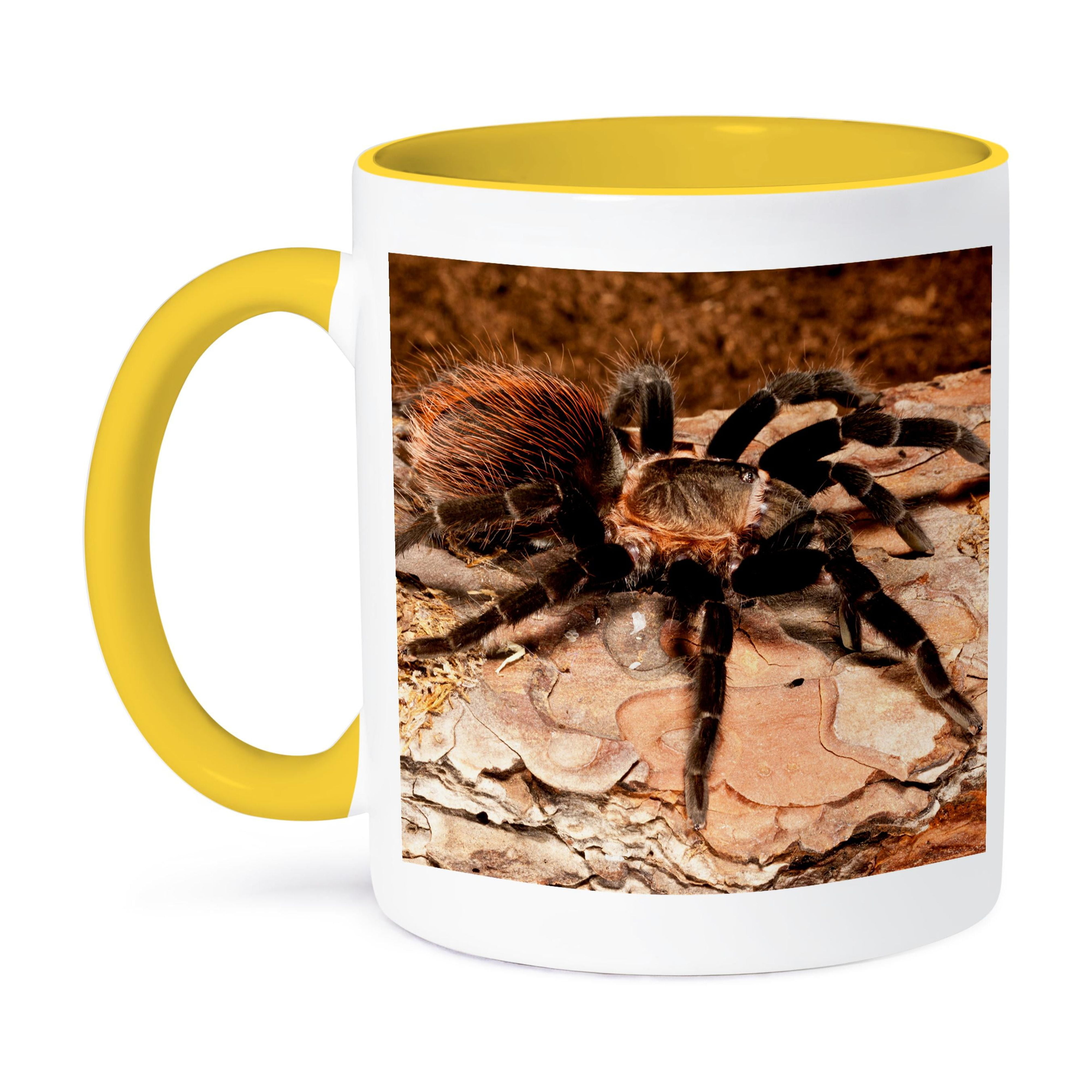 3dRose, Red Rump Tarantula spider, Brachypelma vagans - NA02 DNO0775 ...