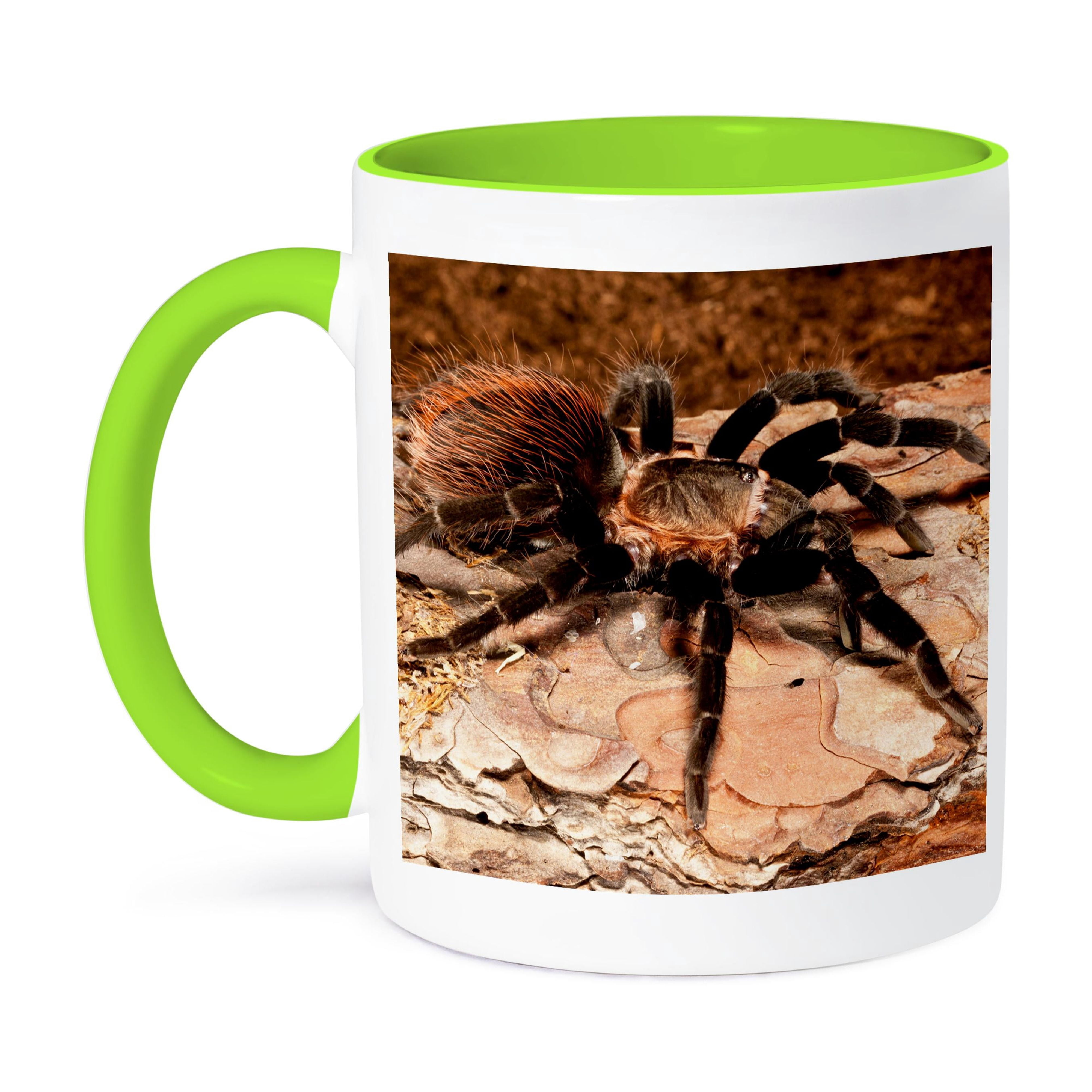 3dRose, Red Rump Tarantula spider, Brachypelma vagans - NA02 DNO0775 ...