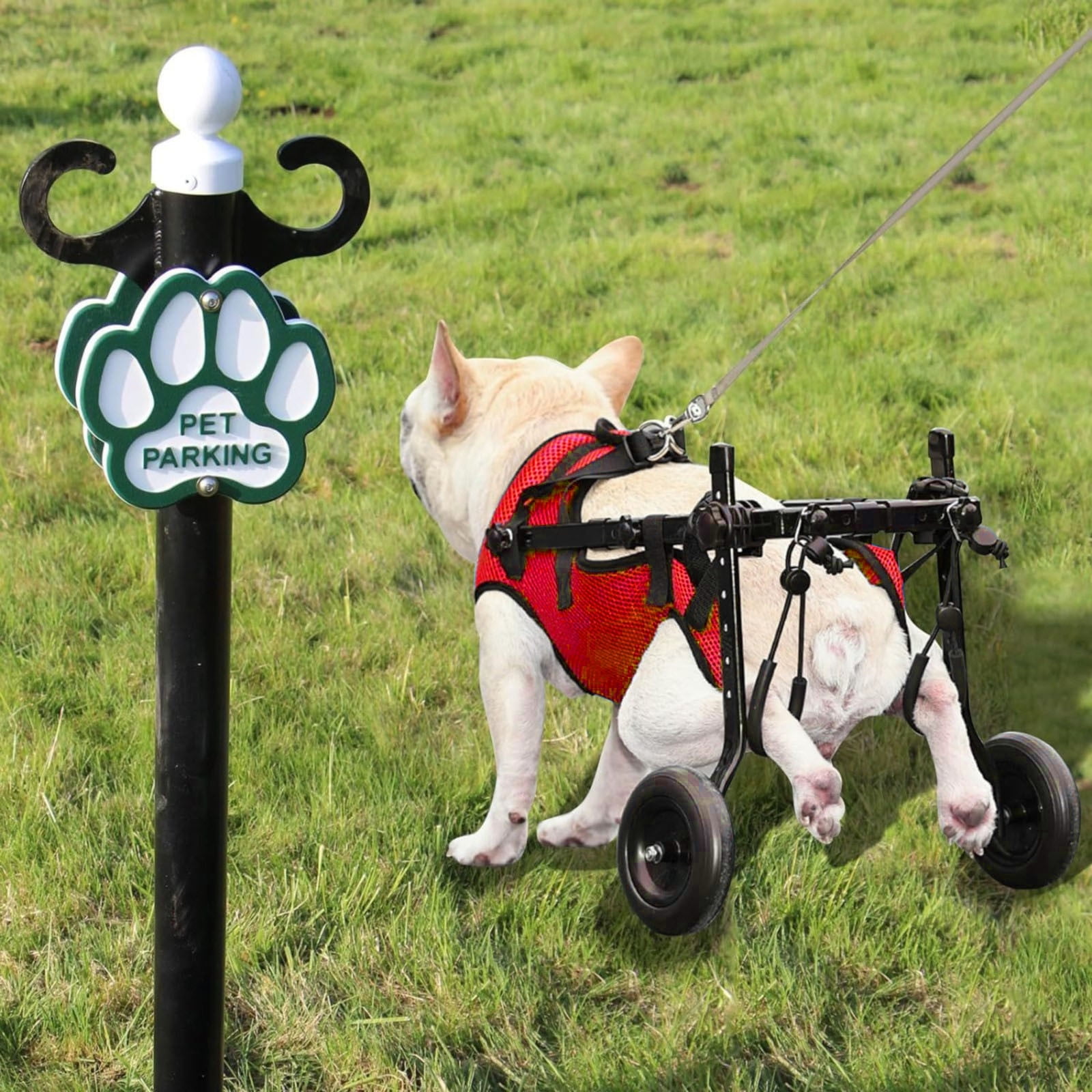 Red S Pet Wheelchair for Dogs, 2 Wheels Dog Mobility Cart for Hind Leg ...