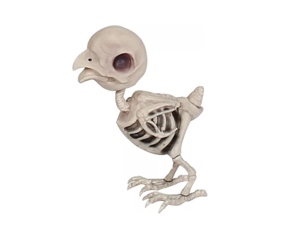 Red Shed W84434 Beige 8 in. Halloween Skeleton Chick, Polypropylene ...