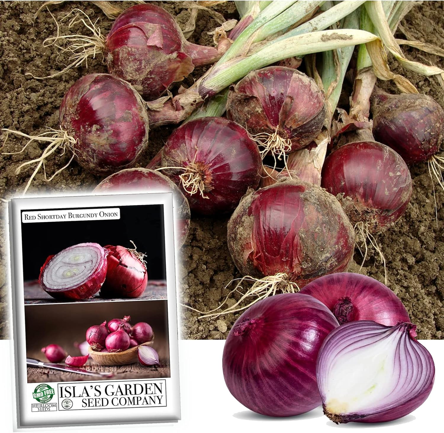 Red Shortday Burgundy Onion Seeds for Planting, 300+ Heirloom Seeds Per ...