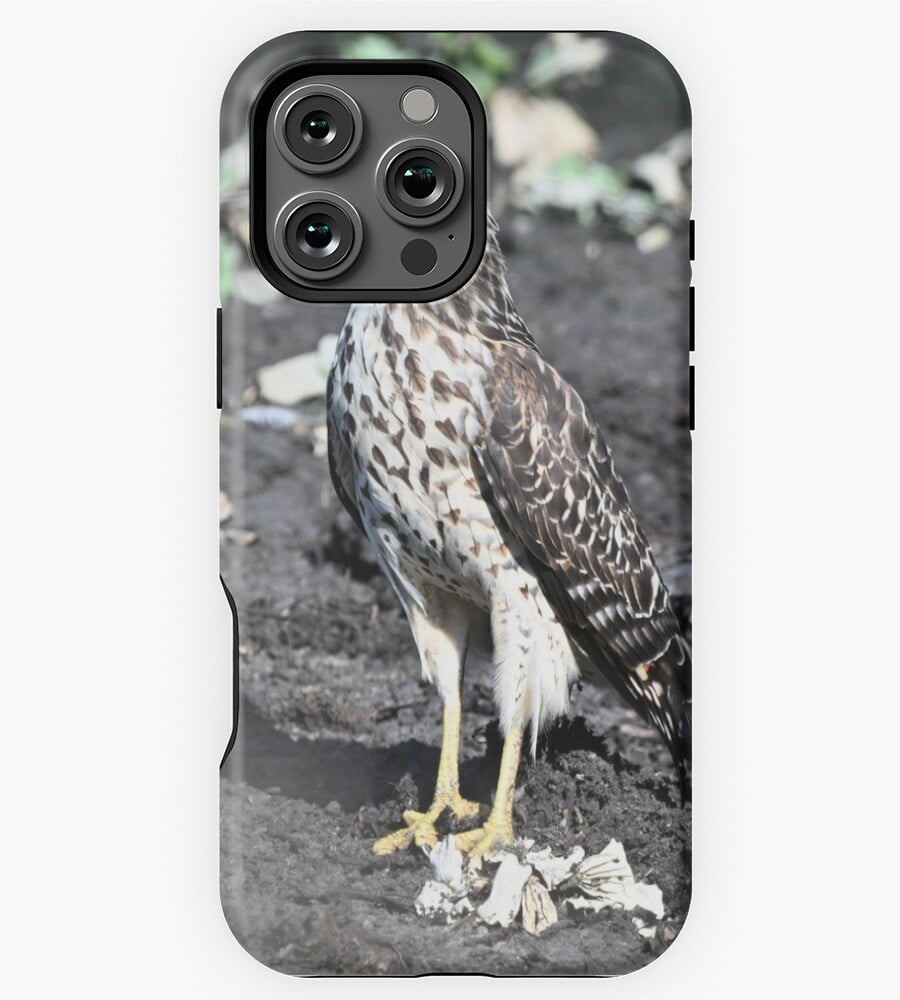 Red-Shouldered Hawk Bird GA1049 Phone Case for iPhone 11 to 17 Pro Max ...