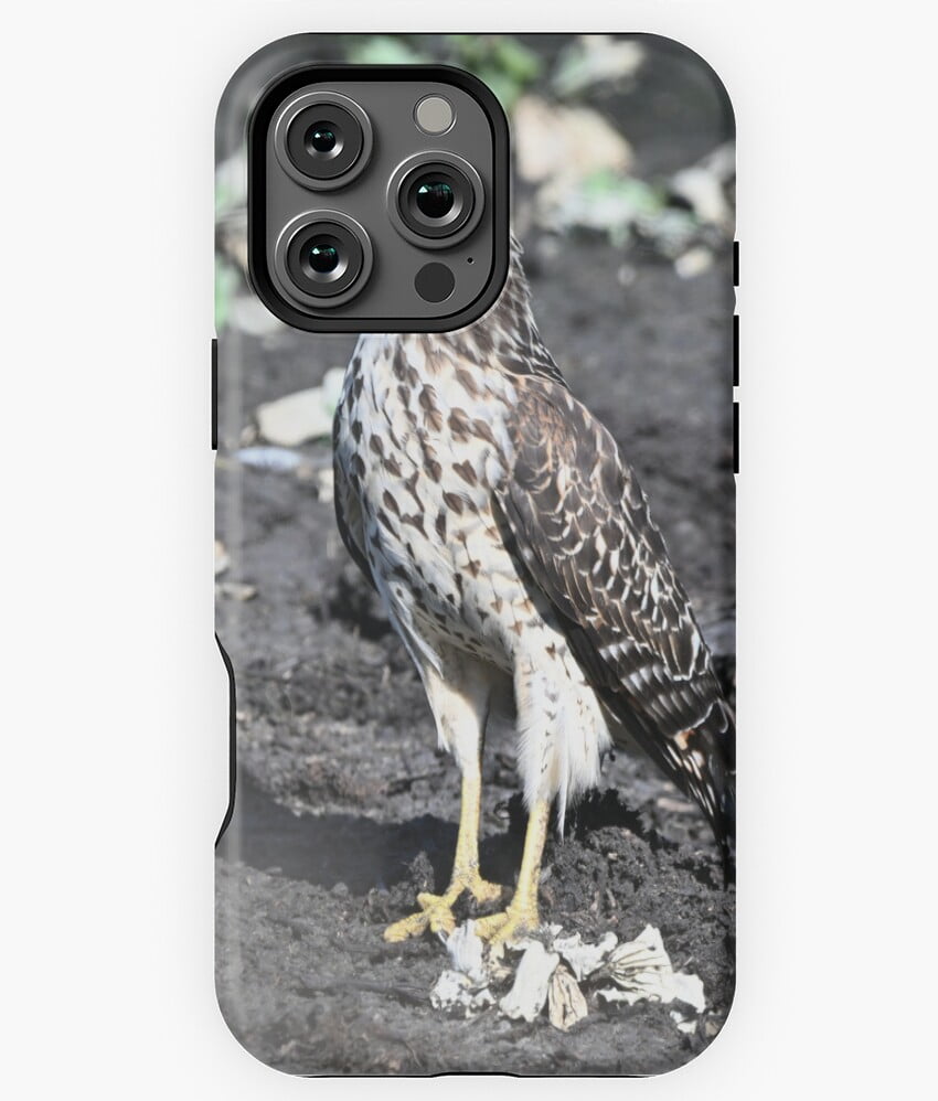 Red-Shouldered Hawk Bird M20387 Phone case for iPhone 11 to 16 Pro Max ...