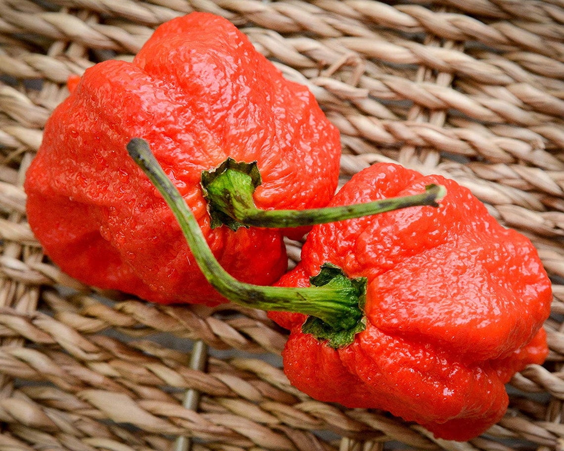 Red Skunk Ultra Hot Pepper Premium Seed Packet - Walmart.com