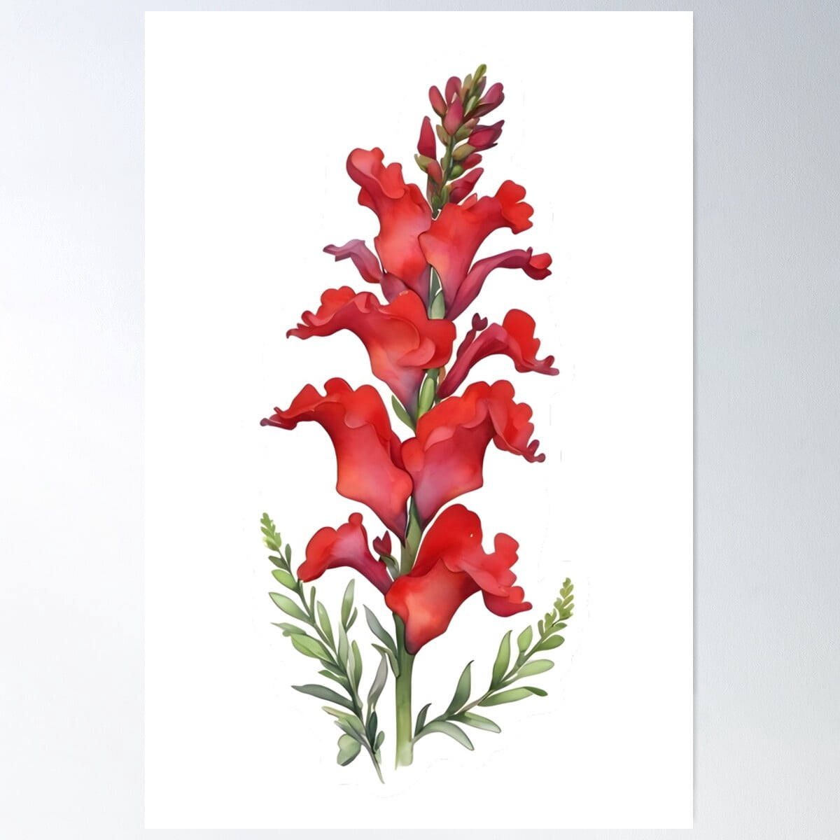 Red Snapdragons (Antirrhinum Majus) Poster Wall Art, Modern Wall Decor ...