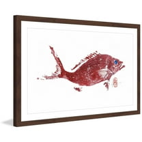 "Scamp Grouper" Framed Painting Print - Walmart.com