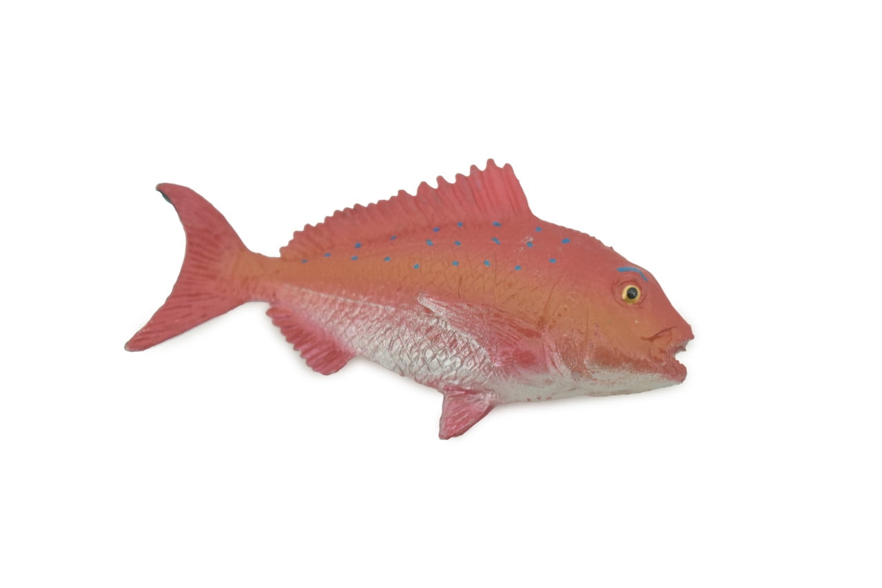 Red Snapper, Fish, Onaga, Rockfish, High Quality, Hand Painted, Hard ...