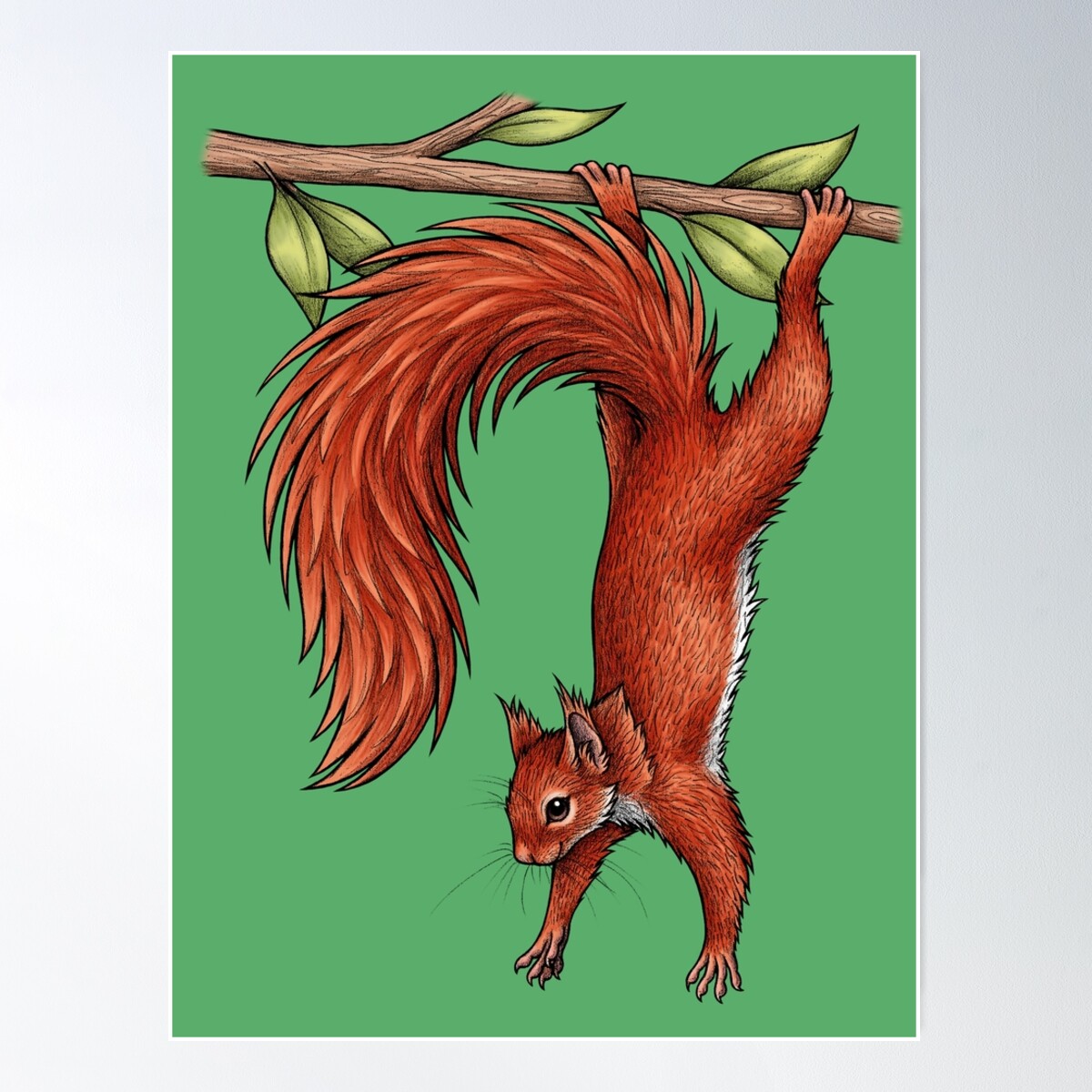 Red Squirrel Poster Wall Art, Modern Wall Decor For Living Room Bedroom ...
