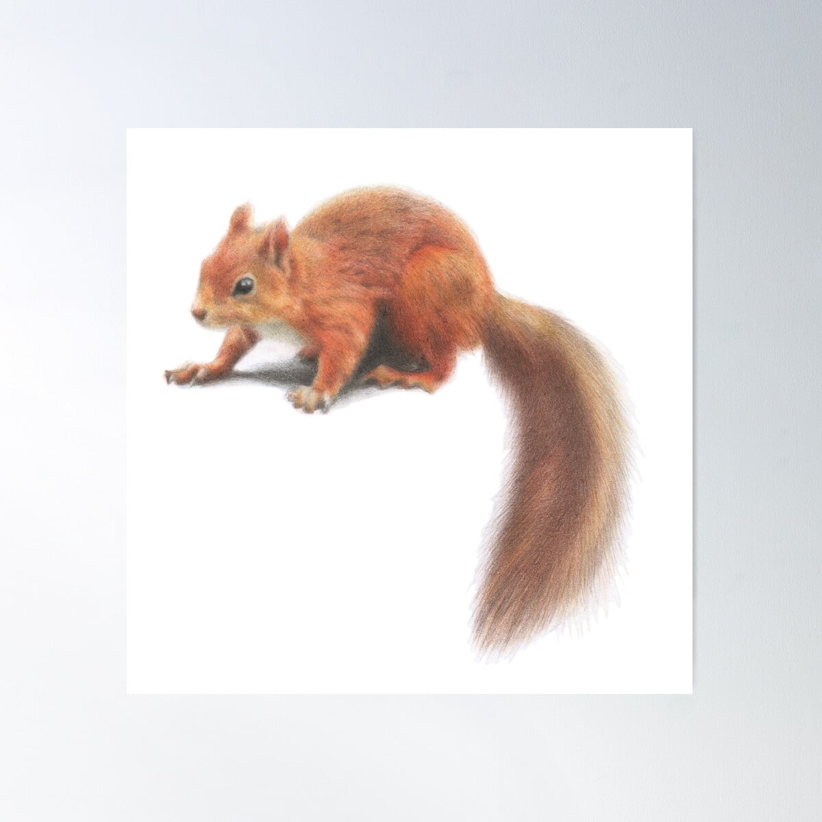 Red Squirrel Poster Wall Art, Modern Wall Decor For Living Room Bedroom ...