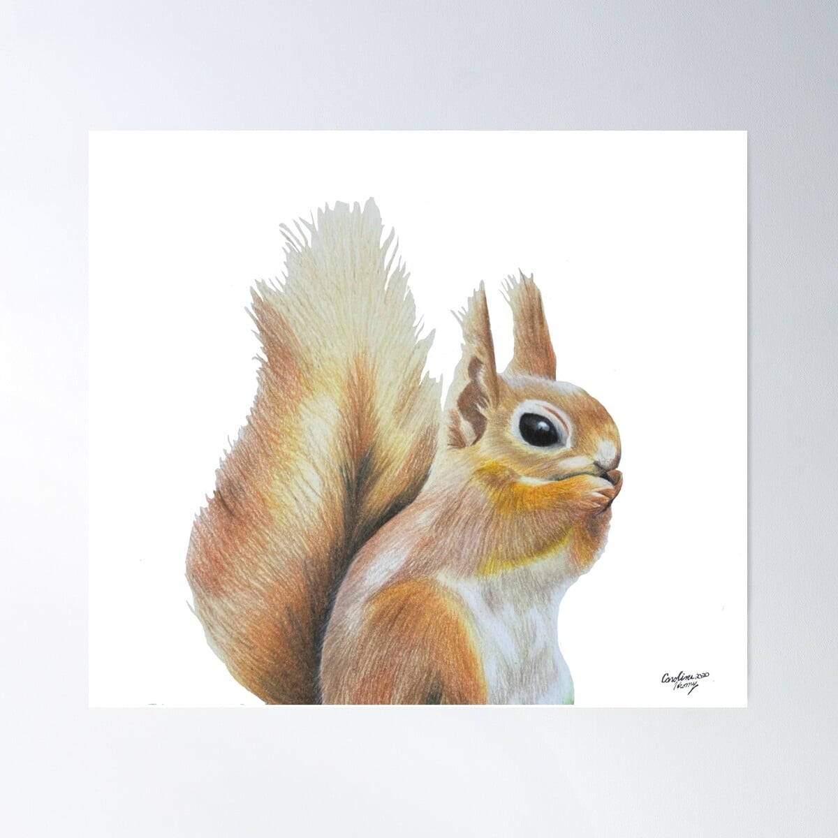 Red Squirrel Poster Wall Art, Modern Wall Decor For Living Room Bedroom ...