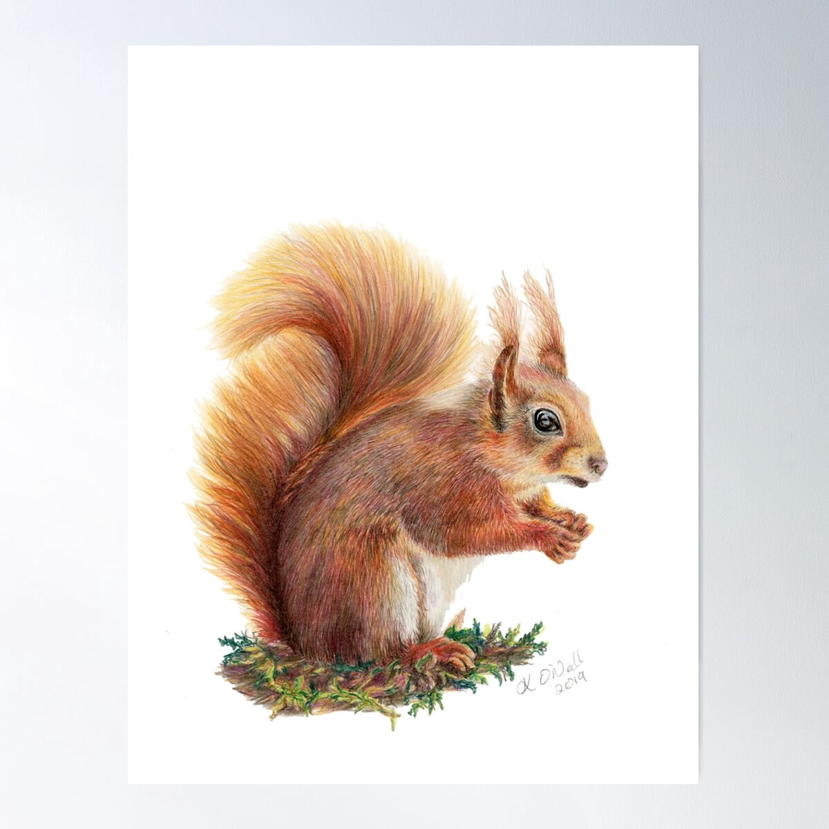 Red Squirrel Poster Wall Art, Modern Wall Decor For Living Room Bedroom ...