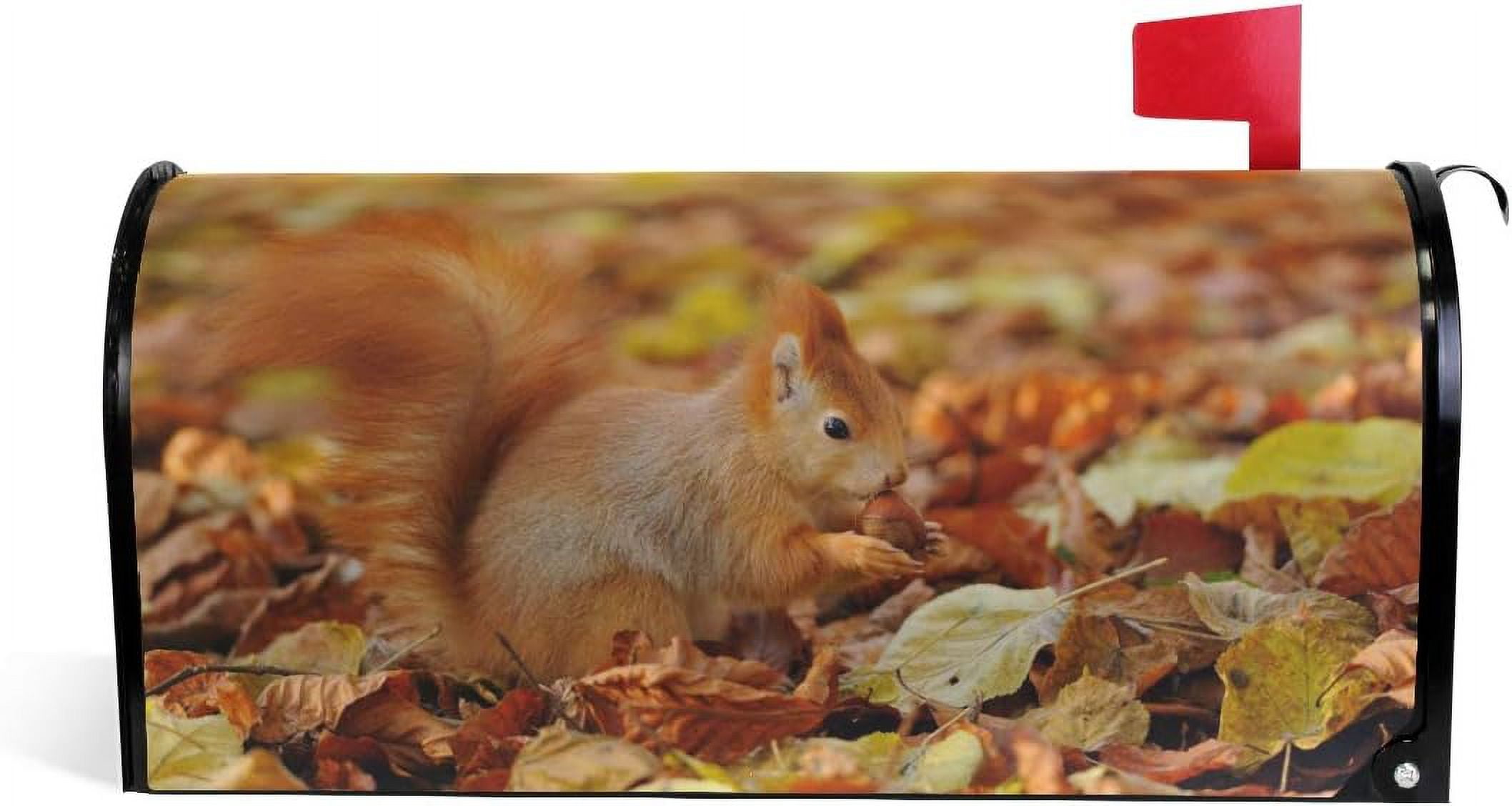 Red Squirrel in Autumn Fall Leafs Magnetic Mailbox Cover Standard Size ...