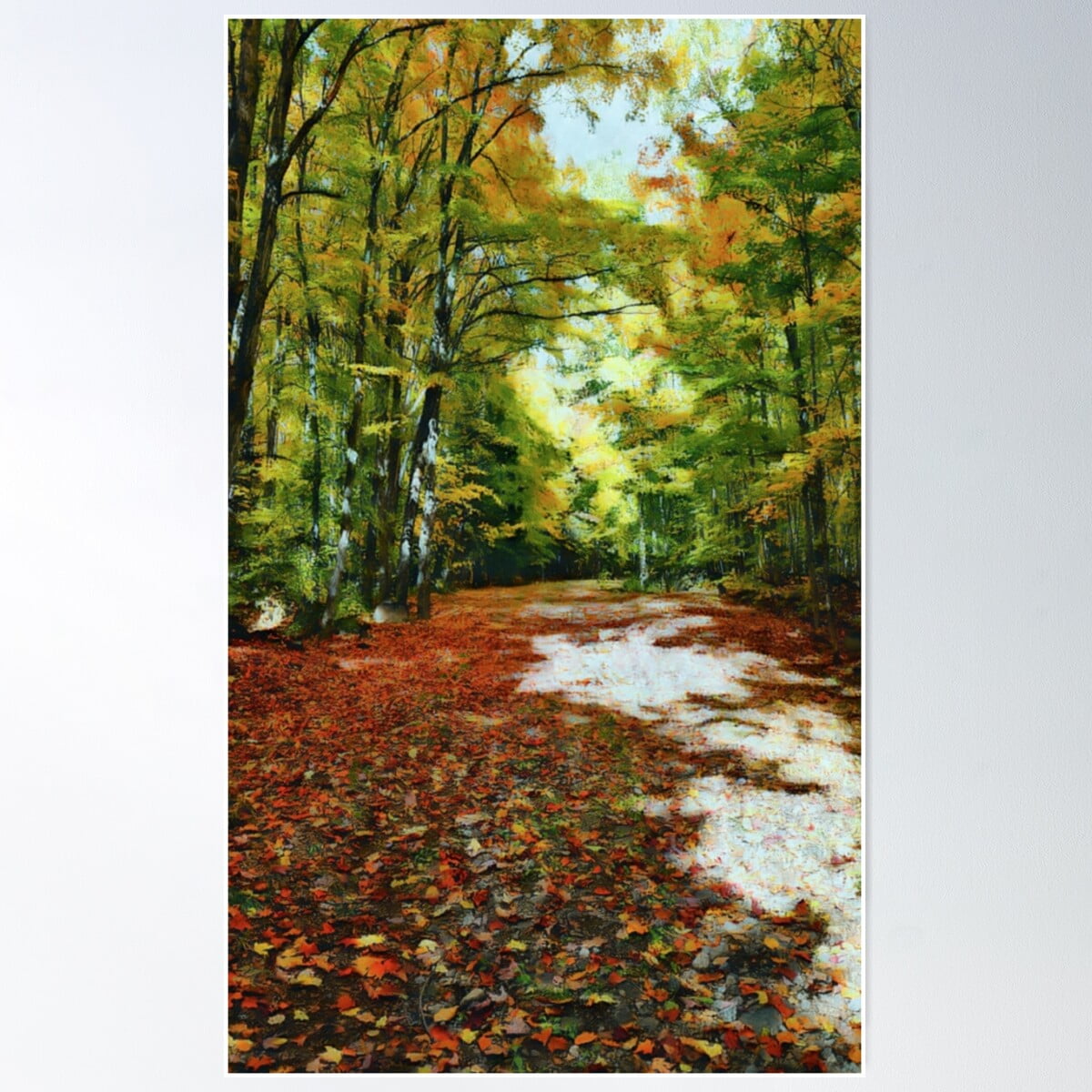 Red Trail - Fall Colors In Full Display Poster Wall Art, Modern Wall ...