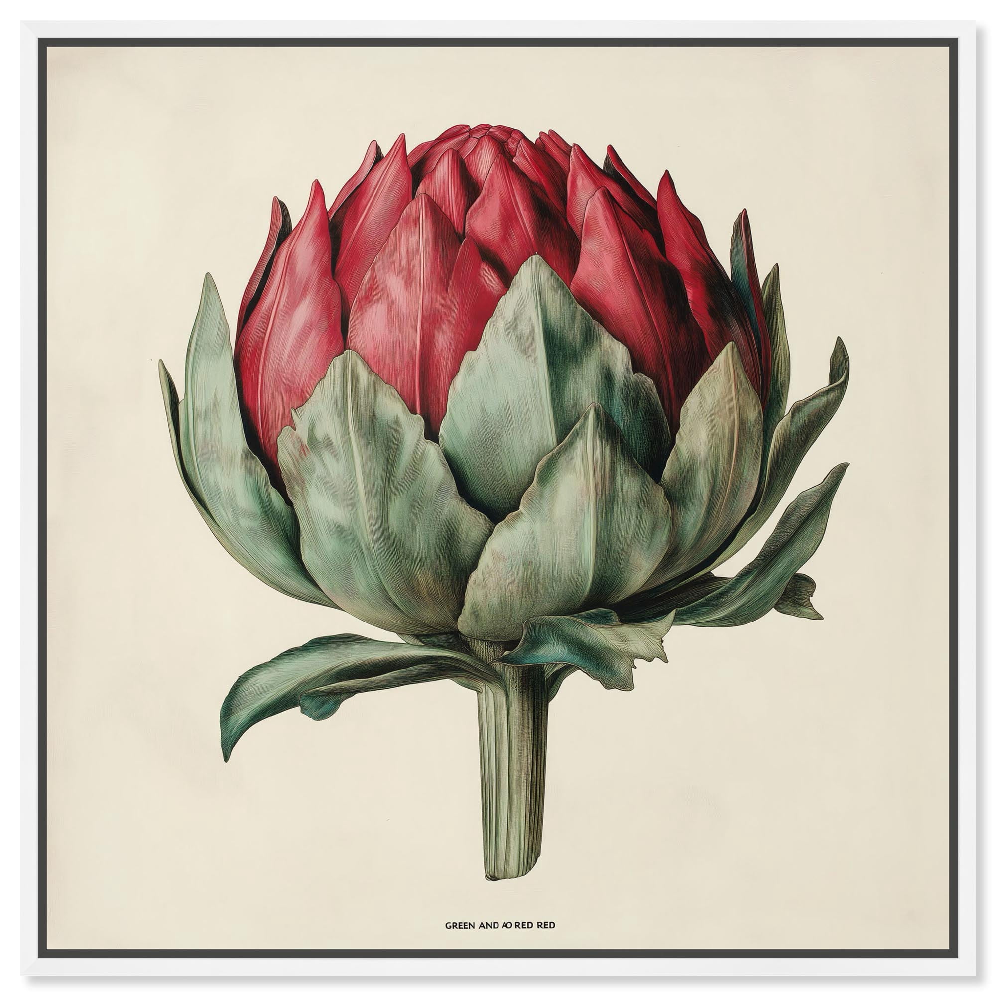 Red Vermillion Harmony Canvas Vintage Botanic Art by Art Remedy, White Frame, 20" x 20 ...