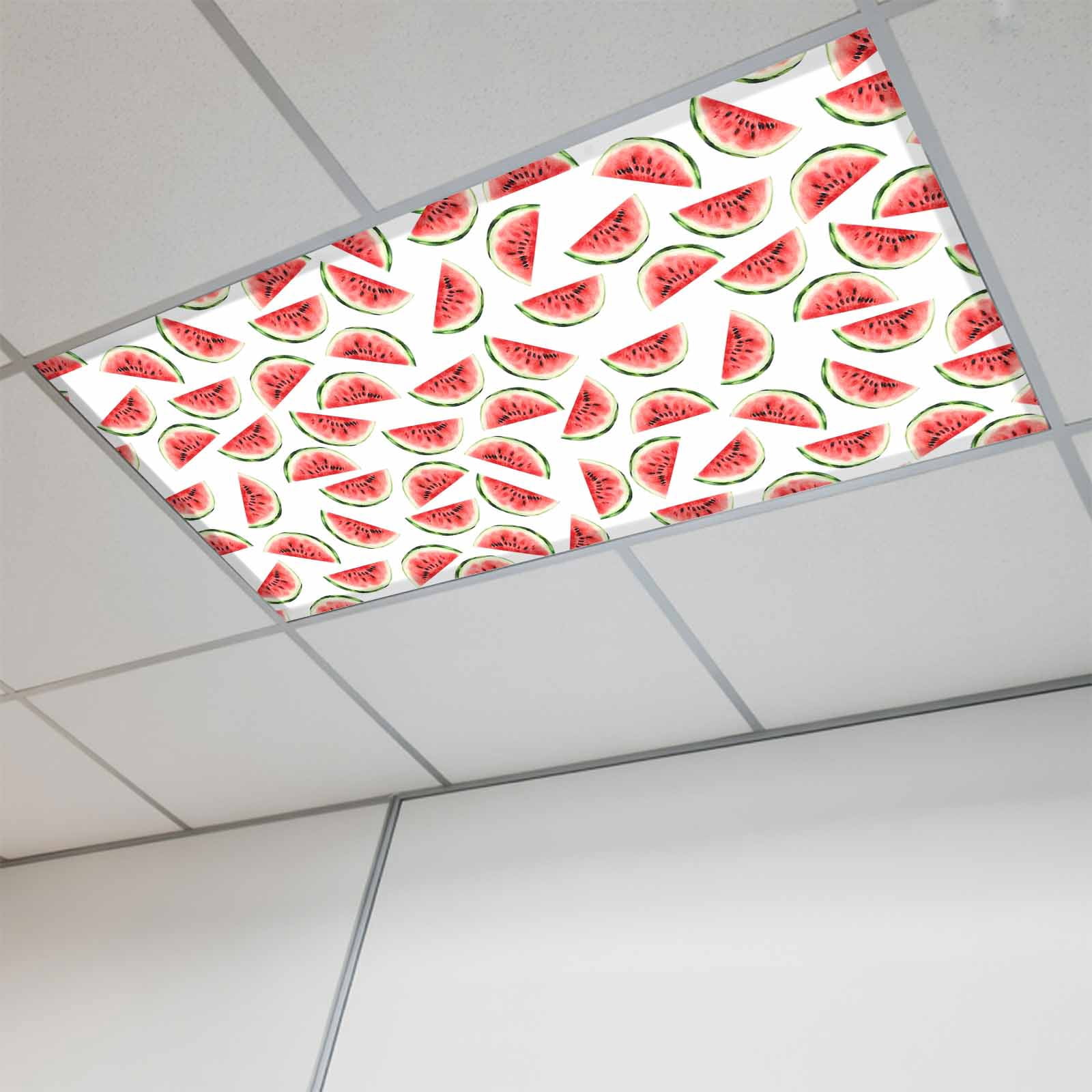 Red Watermelon Magnetic Fluorescent Light Covers for Ceiling Lights ...