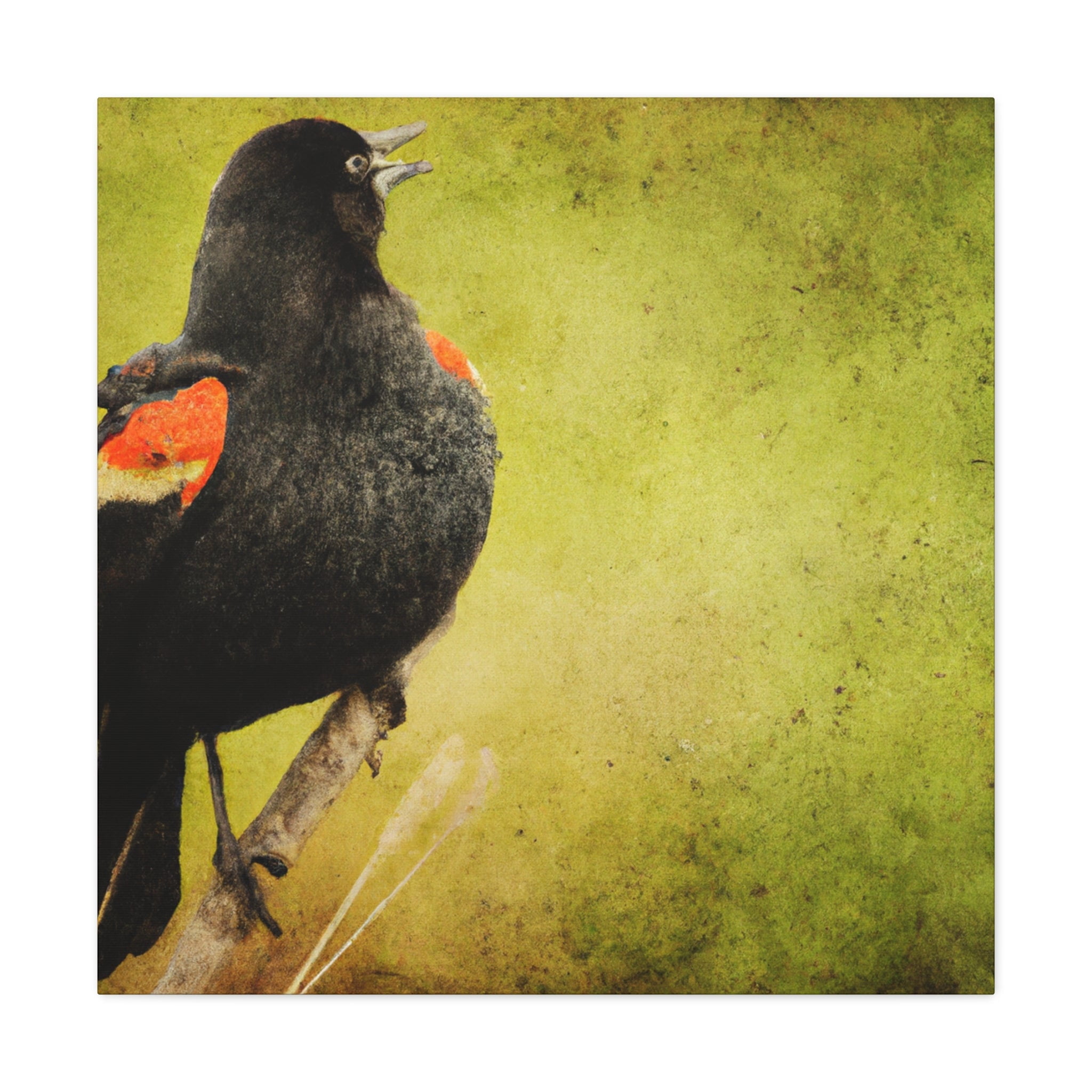 Red Winged Blackbird - Canvas - Walmart.com