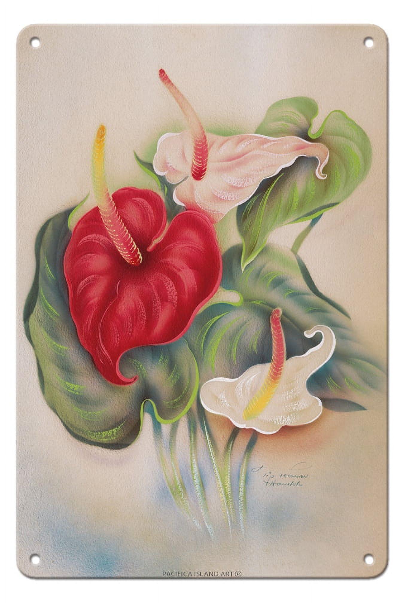 Red and White Anthuriums Hawaii - Vintage Hawaiian Airbrush Art by Tip ...