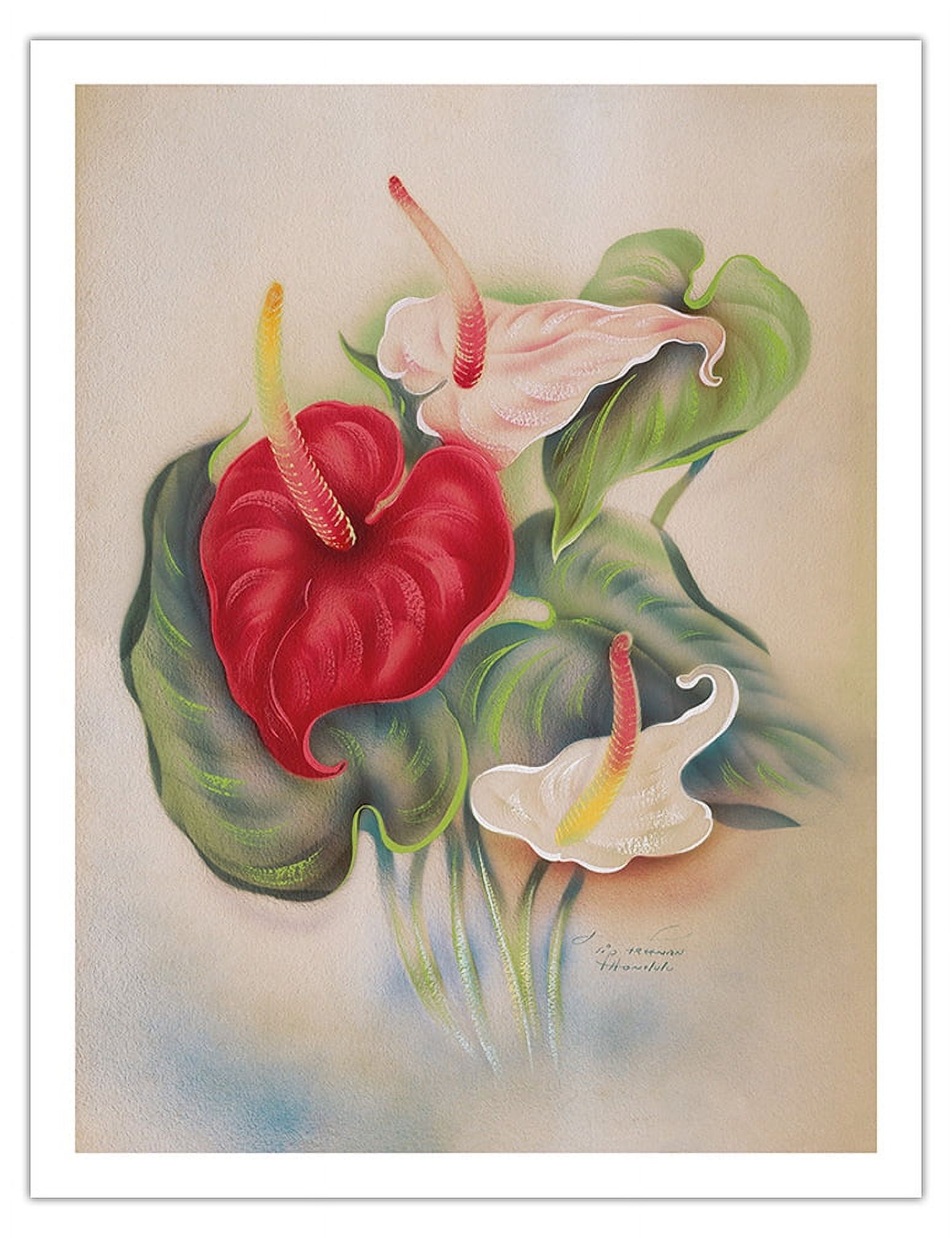 Red and White Anthuriums Hawaii - Vintage Hawaiian Airbrush Art by Tip ...