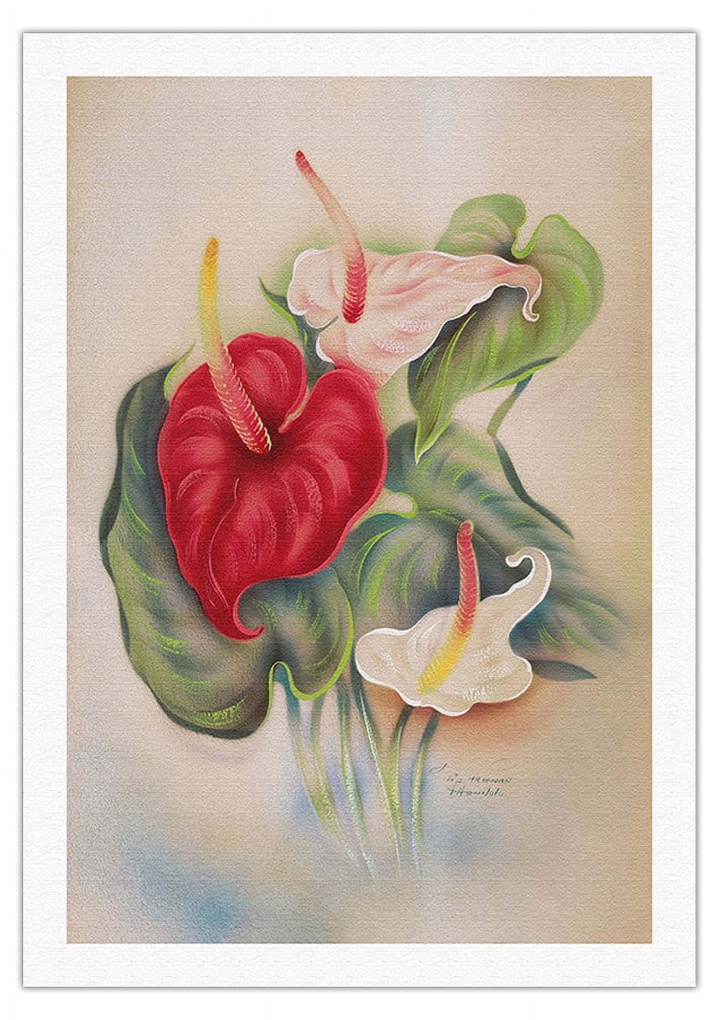 Red and White Anthuriums Hawaii - Vintage Hawaiian Airbrush Art by Tip ...