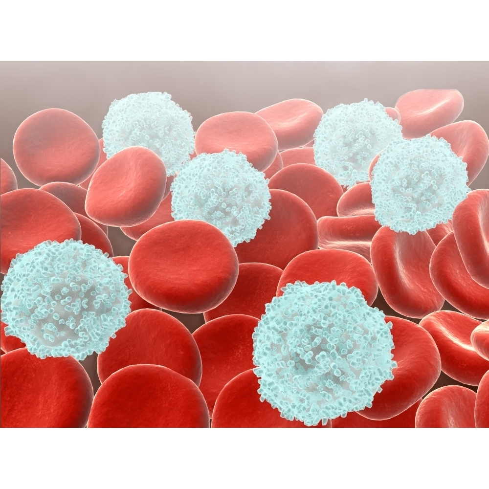 Red blood cells with white blood cells Poster Print - Walmart.com