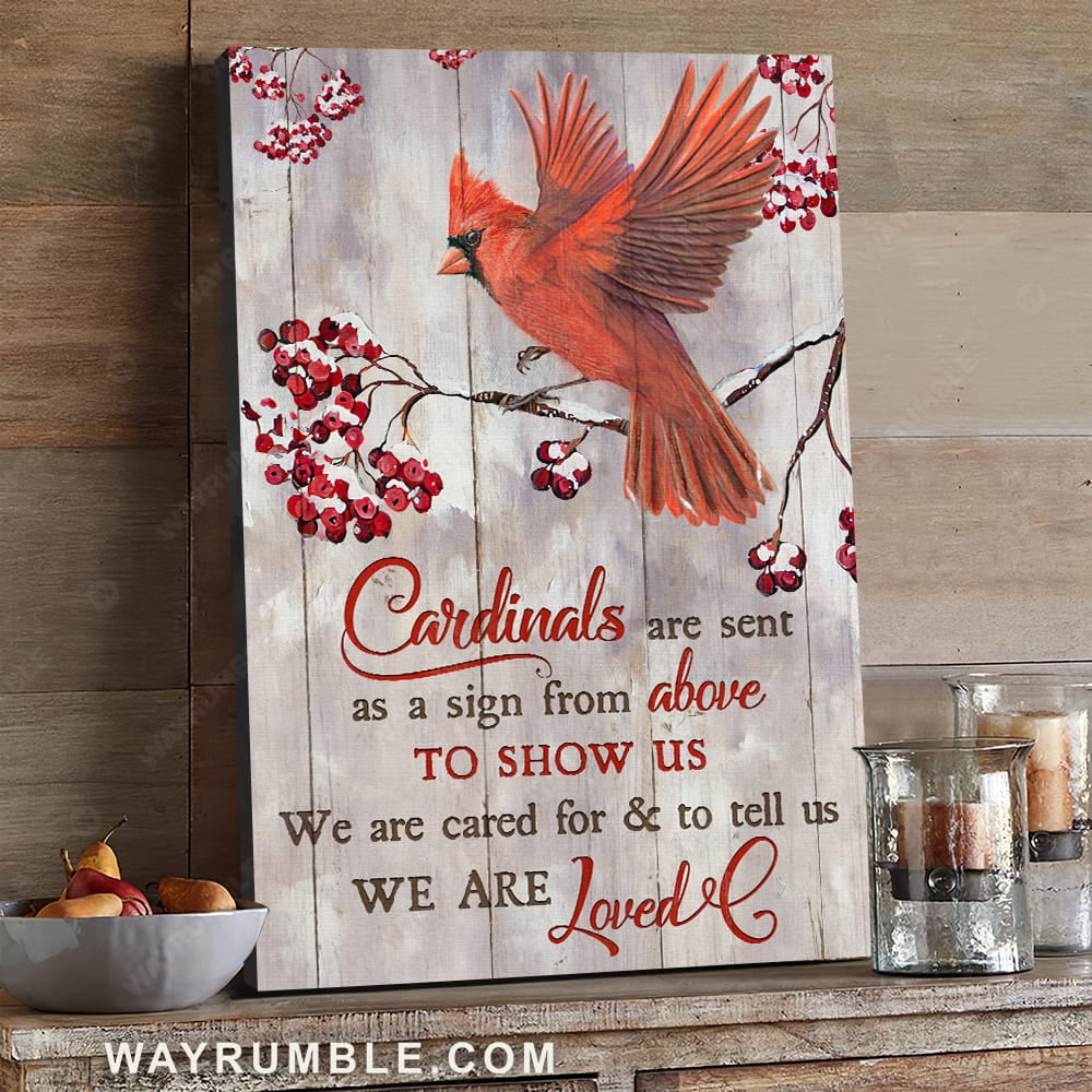 Red cardinal, Frozen cranberry, Cardinals are sent as a sign from above ...