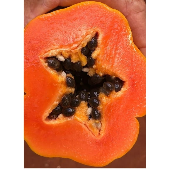 Fruit Trees in Trees - Walmart.com