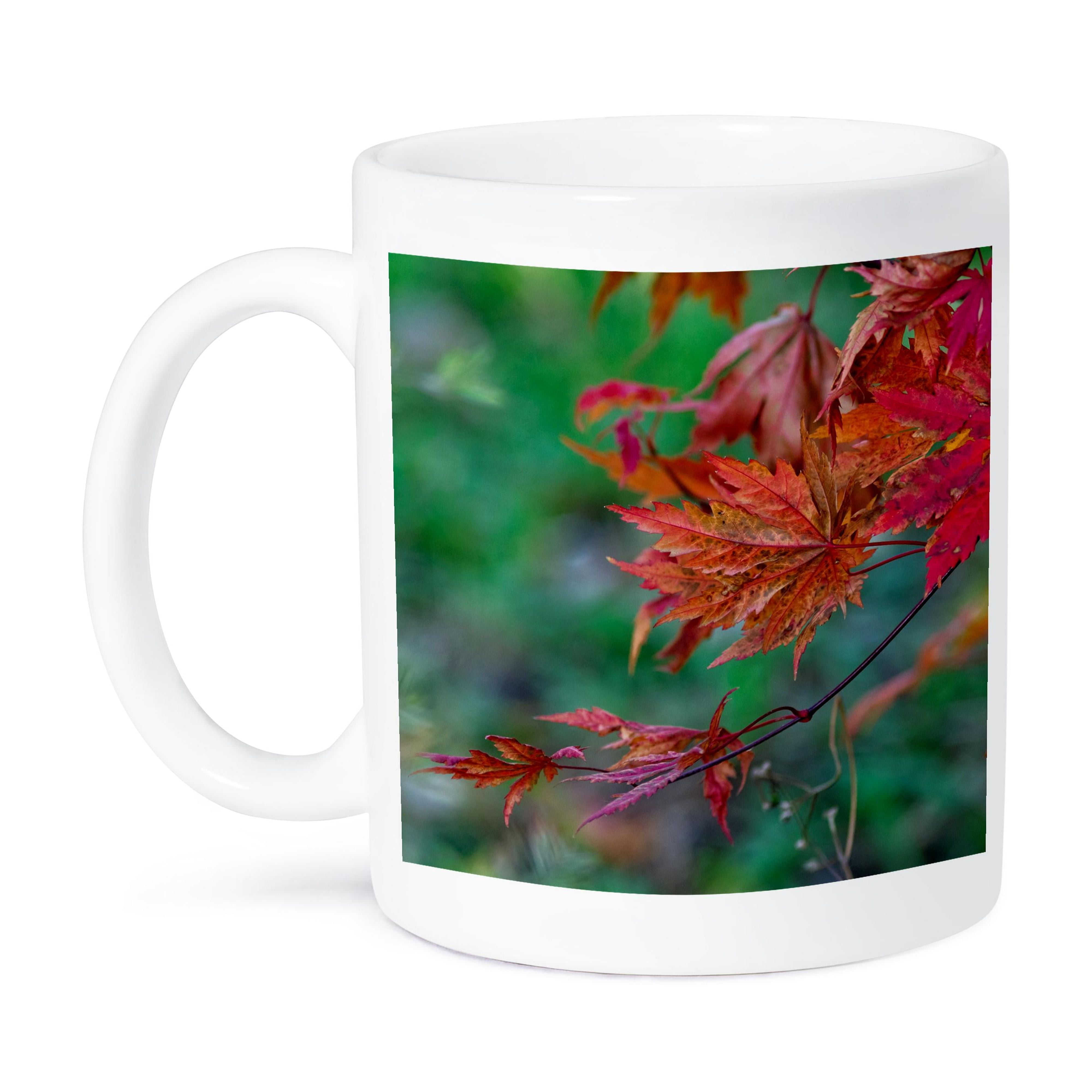 3dRose, Red leaves of a Japanese maple tree, green background. Autumn ...