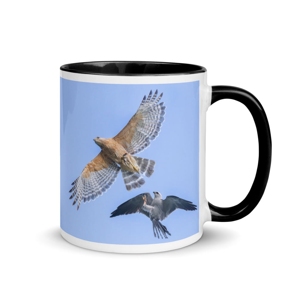 Red-shouldered hawk fighting with Mississippi kite - Mug with Color ...