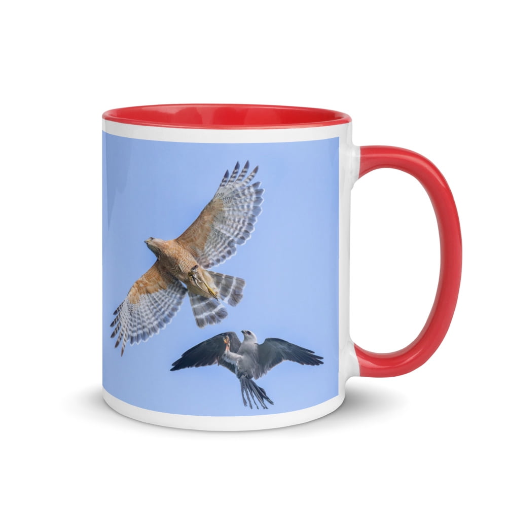 Red-shouldered hawk fighting with Mississippi kite - Mug with Color ...