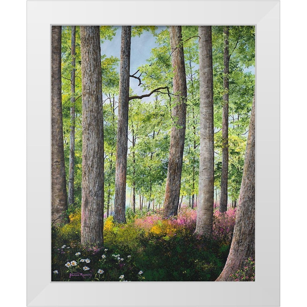 Redding, James 26x32 White Modern Wood Framed Museum Art Print Titled ...