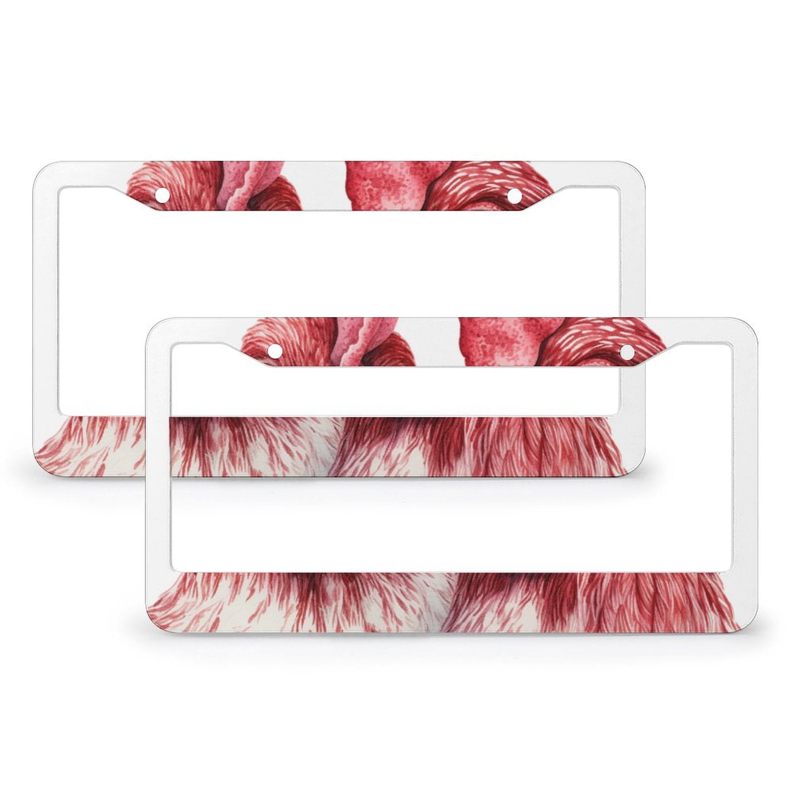 Reddish Hens With White License Plate Frames 2 Pack Chicken Cocks And ...