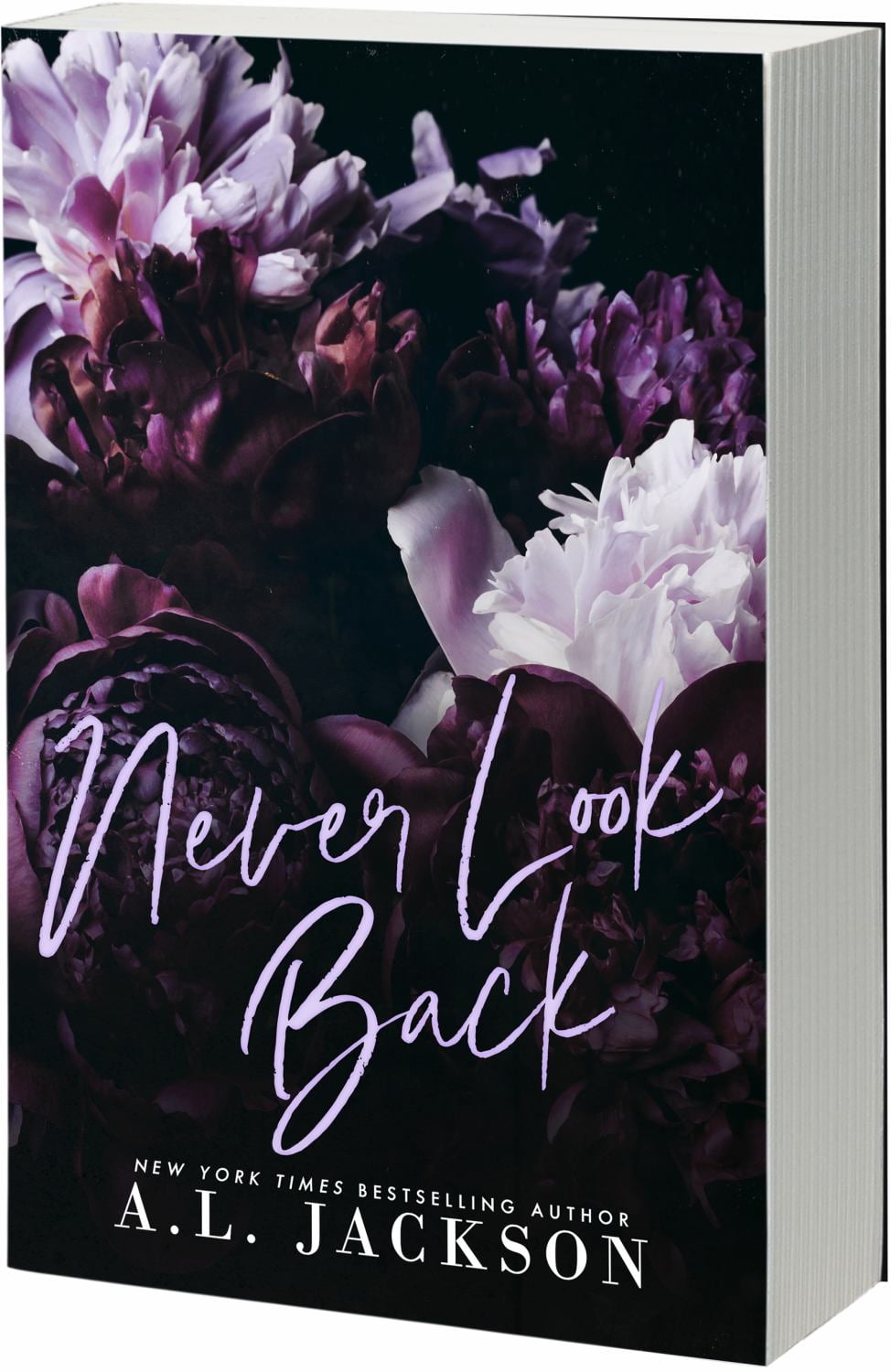 Never Look Back (Paperback) - Walmart.com