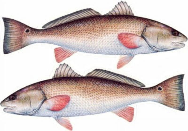 Redfish Decal Twin Pack - Walmart.com