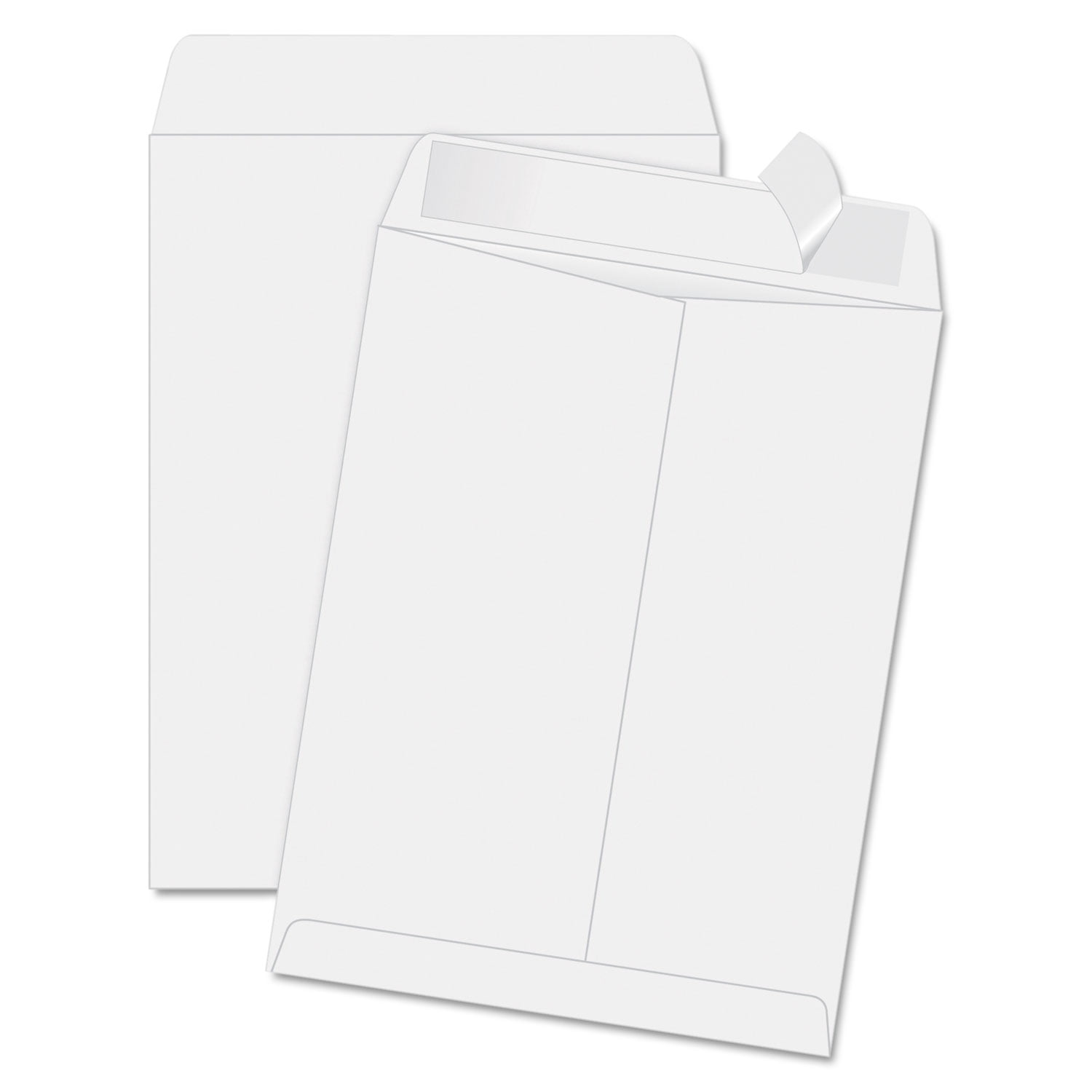Redi-Strip Catalog Envelope, #14 1/2, Cheese Blade Flap, Redi-Strip ...