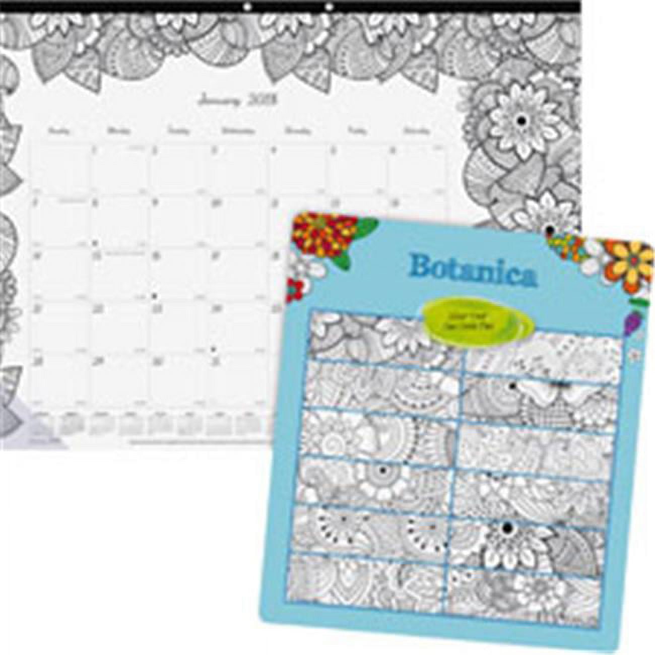 Rediform REDC2917311 Botanica Design Julian Type Monthly Doodle Desk ...