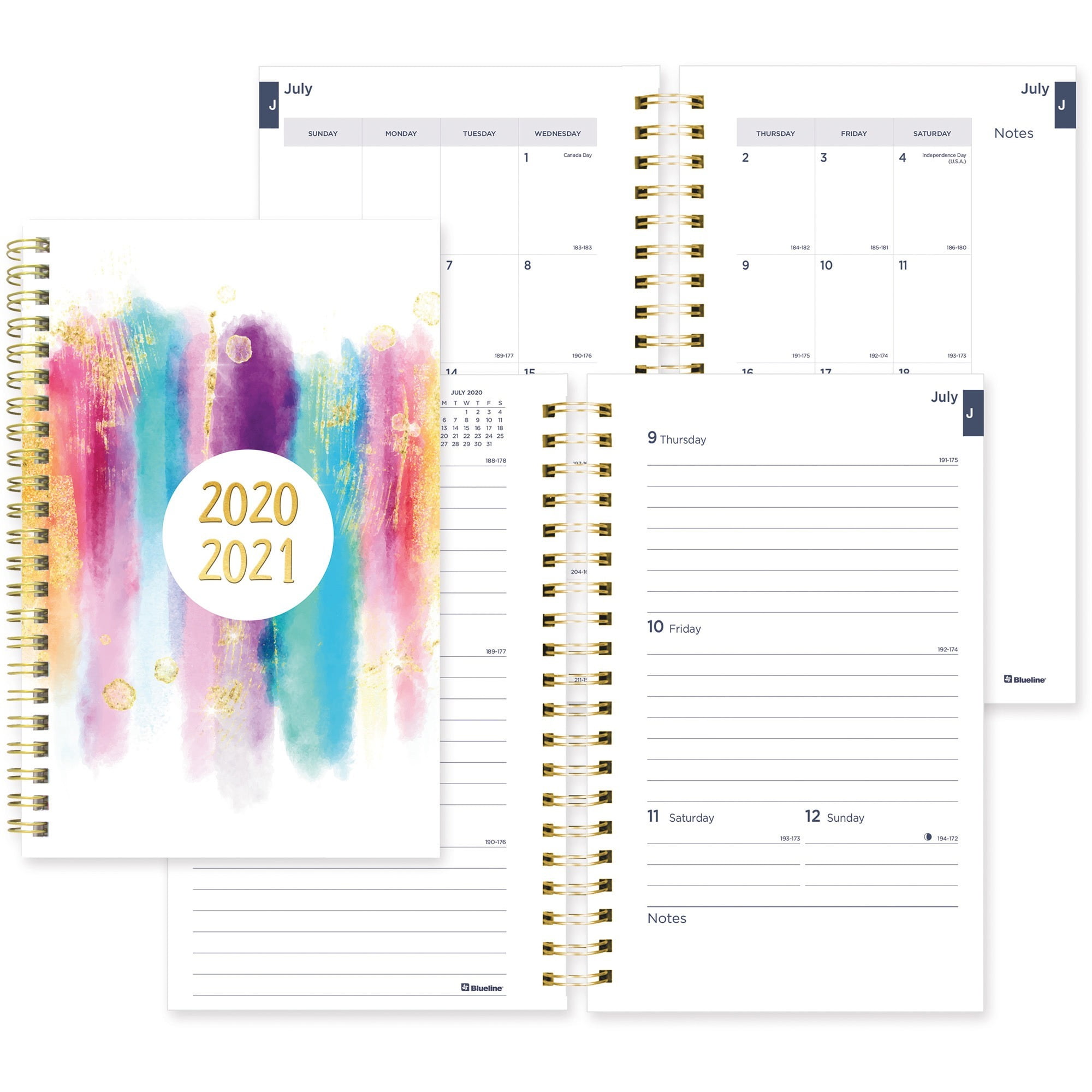 Rediform, REDCA114PI01, Academic Monthly Planner, 1 Each, Blue and Gold ...