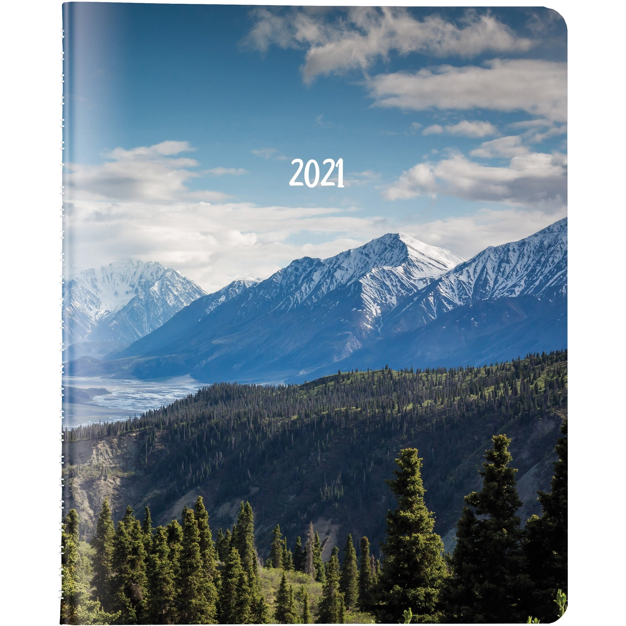Rediform REDCB1200G04 Monthly Planner Appointment Book, Natures Hues ...